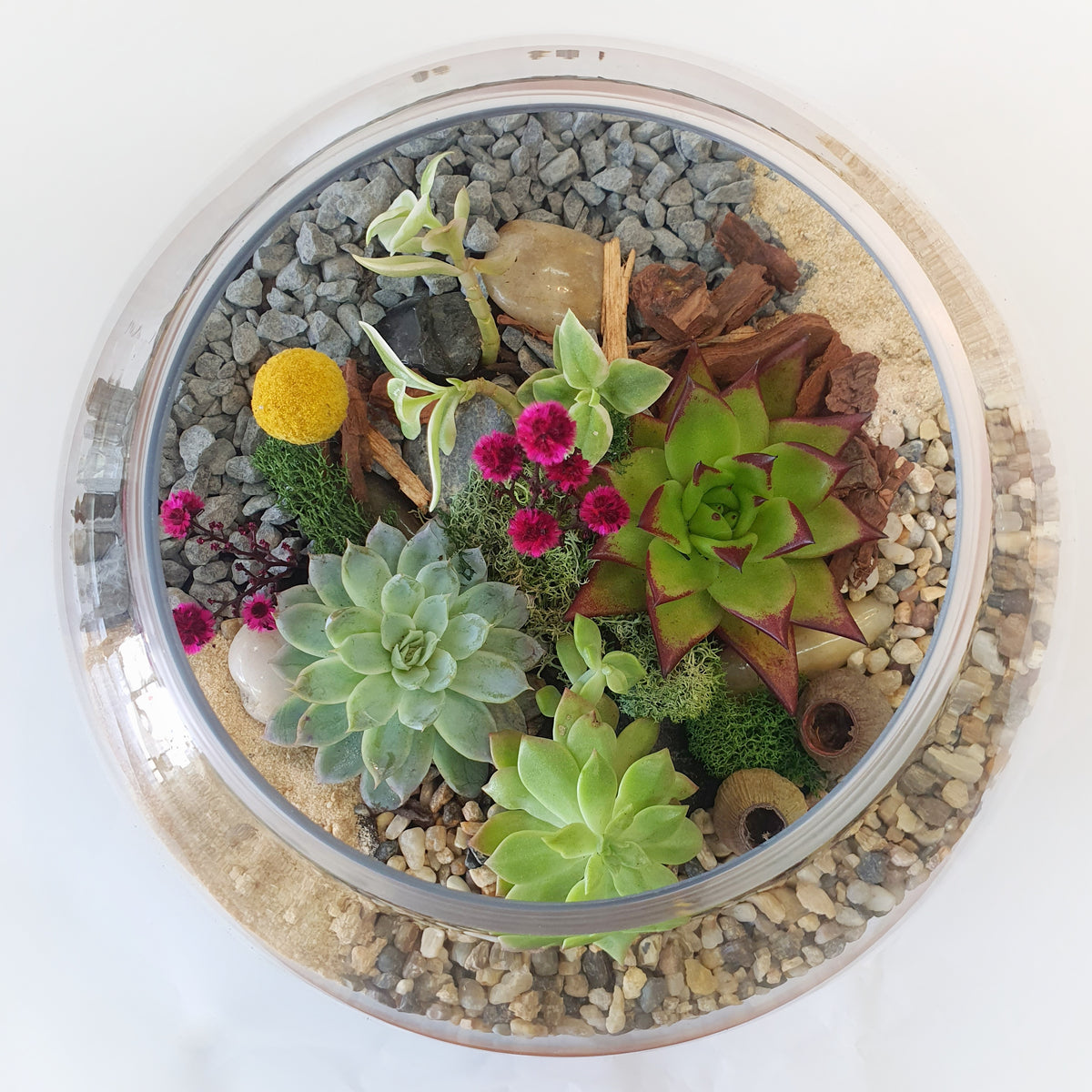 Terrarium Fishbowl (2 sizes available) | Sydney Alexandria Boutique ...