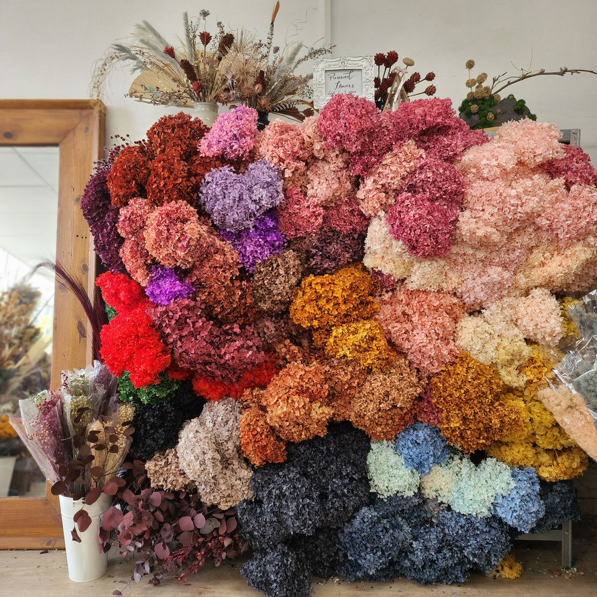 Preserved Hydrangeas in Multiple colours | Sydney Alexandria Boutique ...